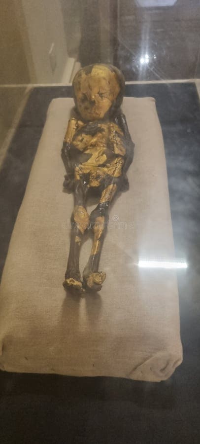 Momie Baby Stock Photos - Free & Royalty-Free Stock Photos from Dreamstime