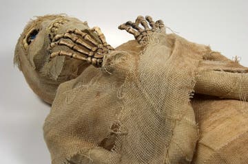Mummy stock image. Image of remains, undead, horror, dead - 24607