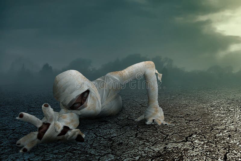 Mummy Wrap Background Stock Photos - Free & Royalty-Free Stock Photos ...