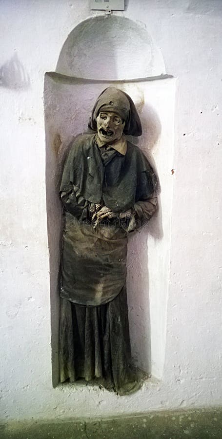 A oria mummy editorial stock image. Image of natural - 120546064