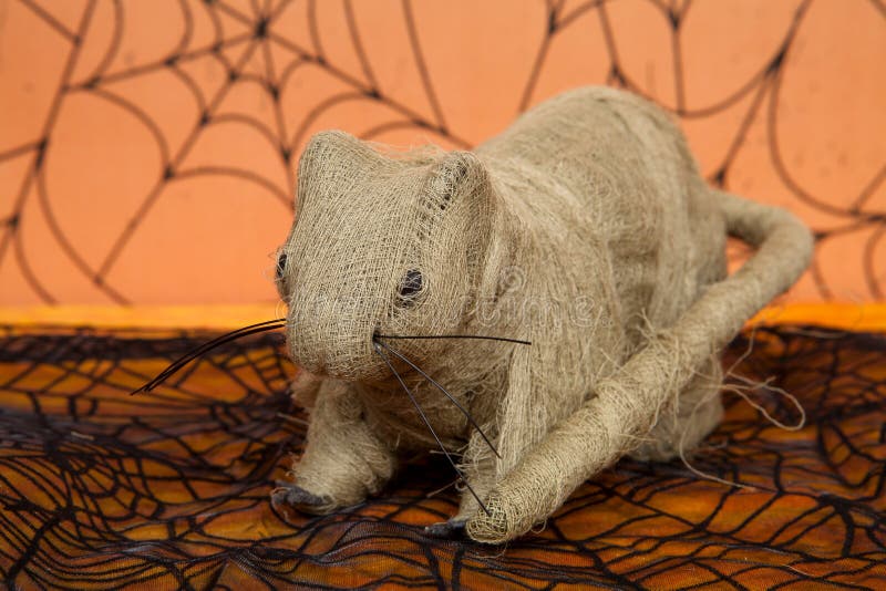 Mummy Rat Stock Photos - Free & Royalty-Free Stock Photos from Dreamstime