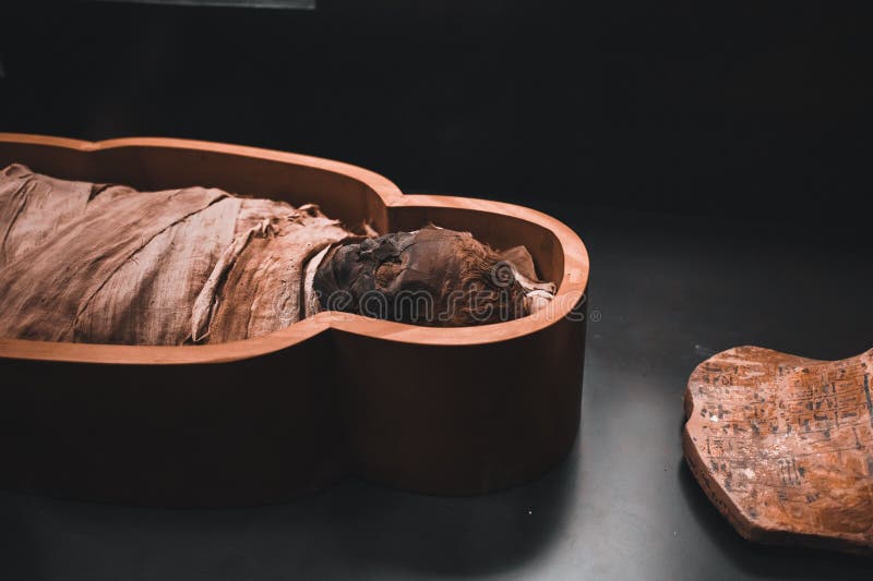 Mummy in a Wooden Box Placed upon a Table, Her Face Peaceful and ...