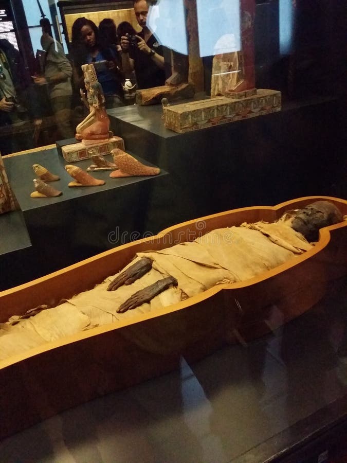 Mumy editorial stock image. Image of real, mummy, mumy - 53504864