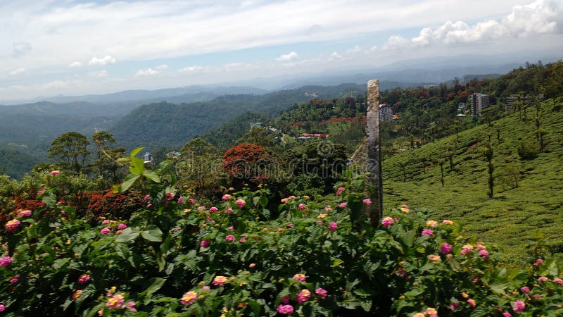 Munar stock image. Image of station, munar, slopes, hill - 96035691