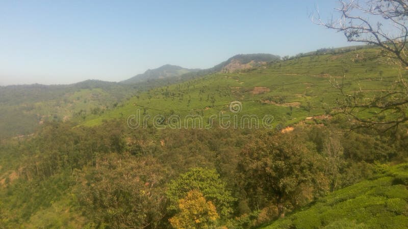 148 Munar India Stock Photos - Free & Royalty-Free Stock Photos from ...