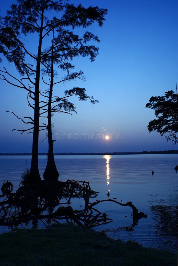 1,233,000+ Munden Free Stock Photos - StockFreeImages