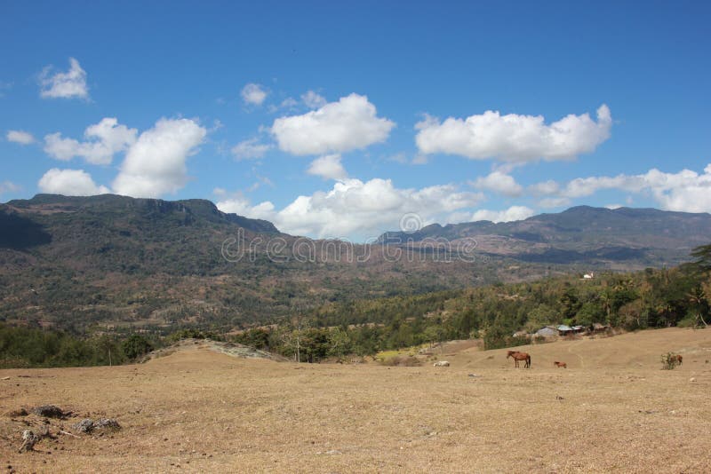 Mundo Perdido Mountain View from Venilale, Timor-Leste. Stock Image ...