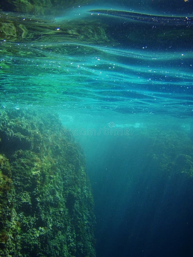 Mundo terrenal foto de archivo. Imagen de caribe, criatura - 5814000