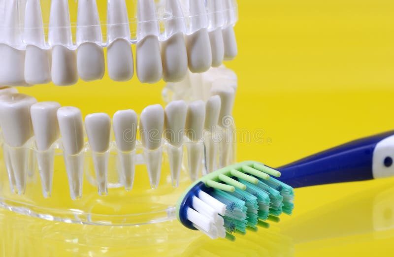 Mundpflege stockbild. Bild von gesundheit, verhinderung - 454107