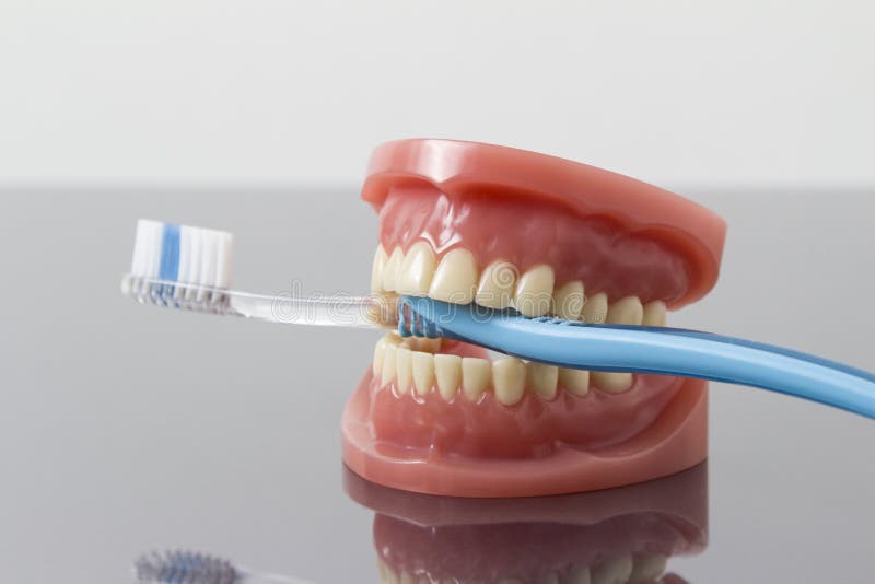 Mundpflege- Und Sauberkeitskonzept Stockbild - Bild von ...