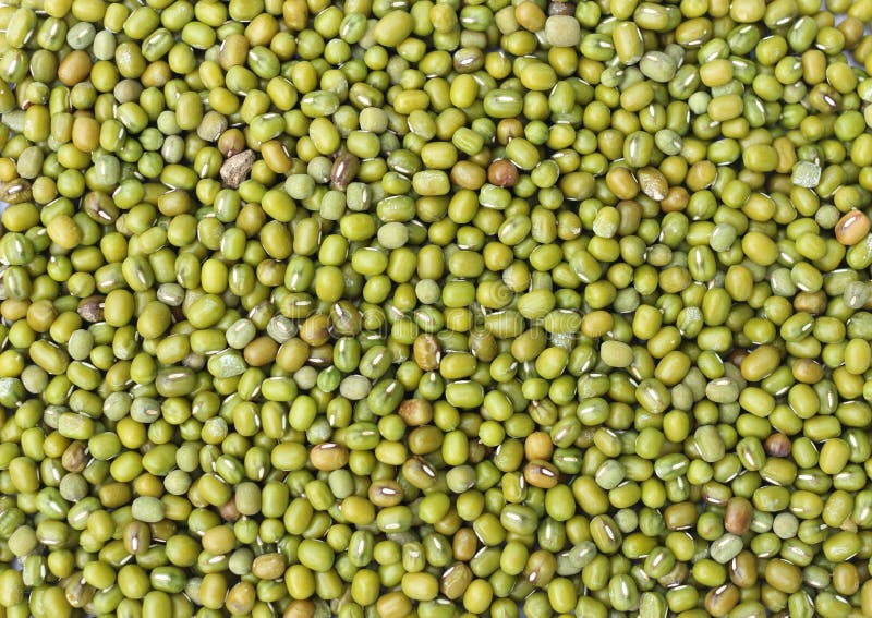 Mung bean stock image. Image of macro, fiber, color, healthy - 43626549