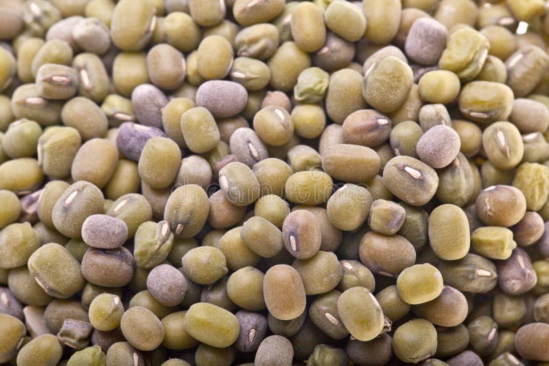 Mung Bean, Green Soybeans Seeds Stock Image - Image of closeup, cooking ...