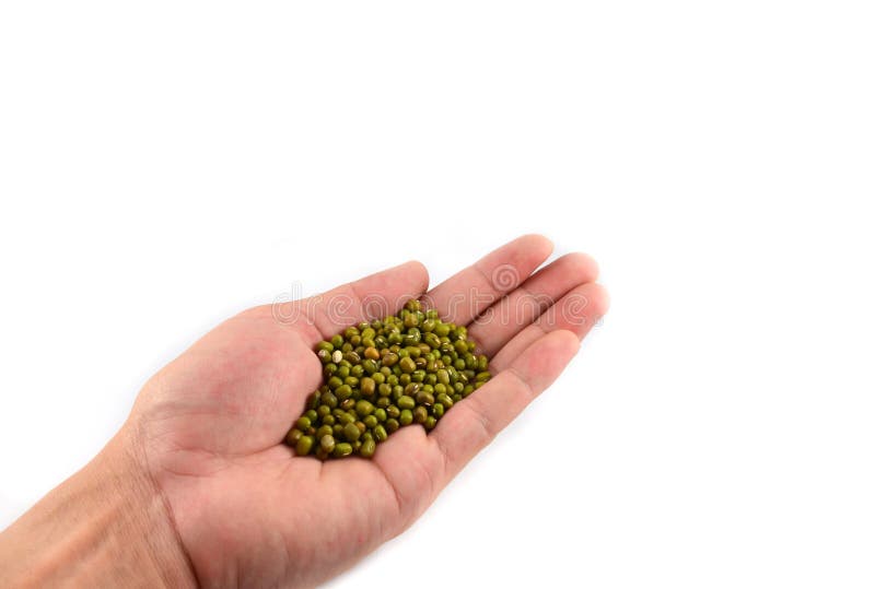 Mung bean hand stock photo. Image of rice, wheat, manufacturing - 51351588
