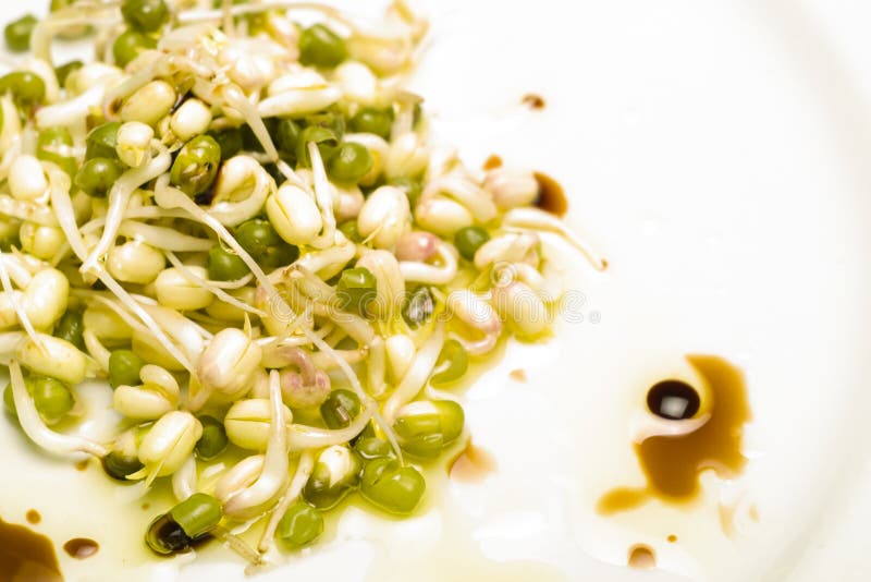 Mung Bean Seed (Vigna Radiata) Salad Stock Image - Image of bean ...