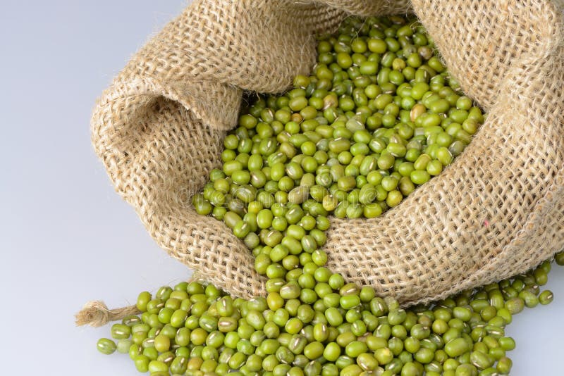 Mung Bean Vigna Radiata Seeds Stock Photo - Image of choice, lentil ... Mung Bean Vigna Radiata Seeds Stock Photo - Image of choice, lentil ...