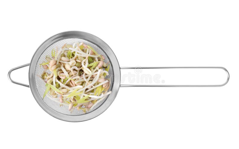 Mung Bean Sprouts in Strainer Isolated on White, Top View Stock Image ...