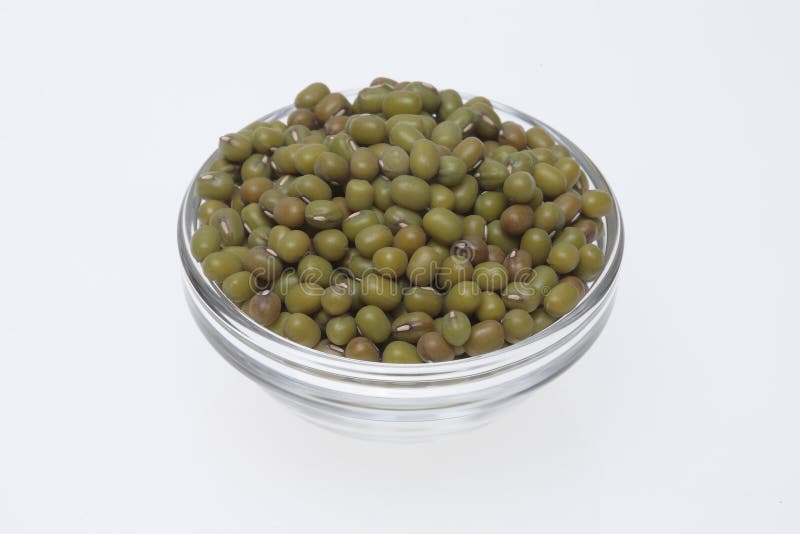 Vigna Radiata Moong Beans Mudga Monggo Plant and Fruits Close Up Stock ...