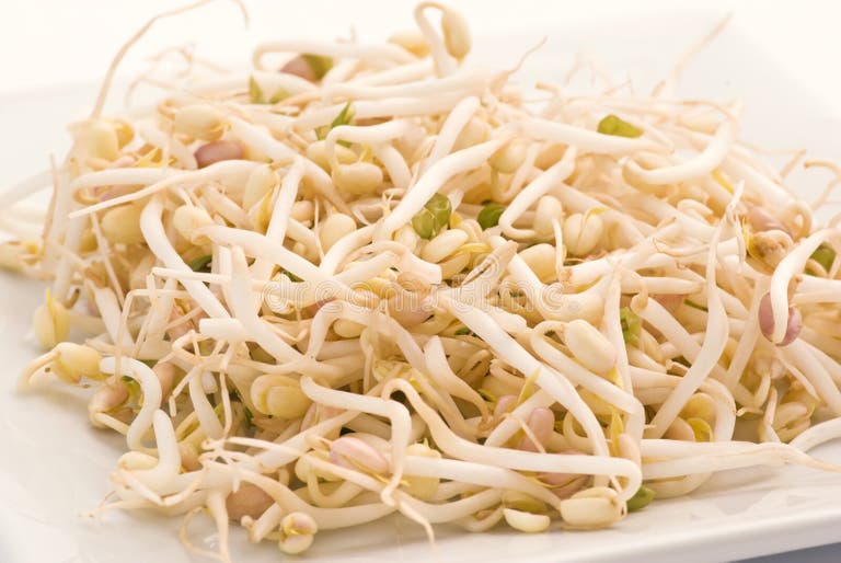 2,196 Vigna Radiata Beans Stock Photos - Free & Royalty-Free Stock ...