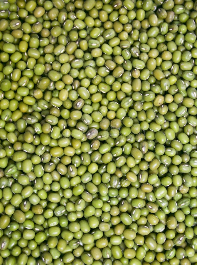 Mung Beans stock photo. Image of mung, sprout, seed, moong - 12463022