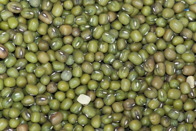 Mung Beans stock photo. Image of healthy, bean, pick - 15059626