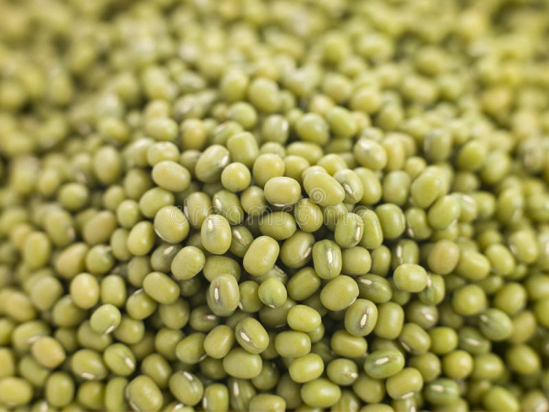Mung Beans stock image. Image of focus, green, healthy - 7230257