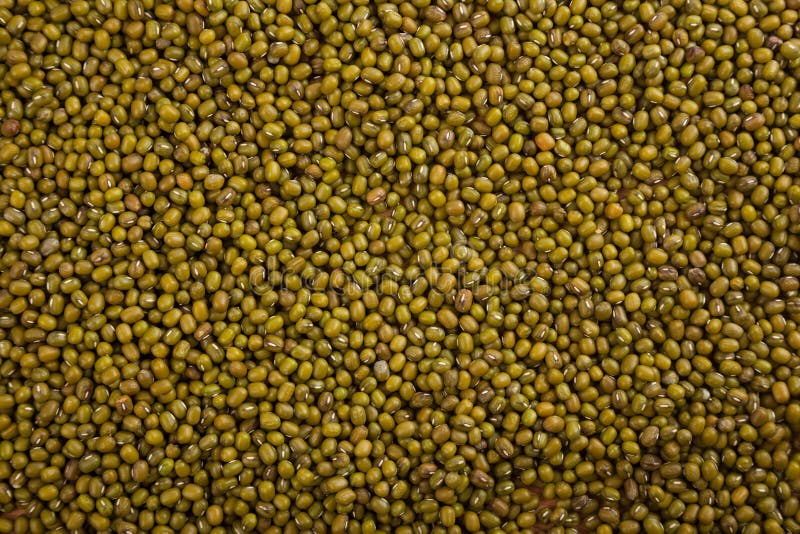 Mung Beans As Background , Texture Stock Image - Image of legume, fiber ...