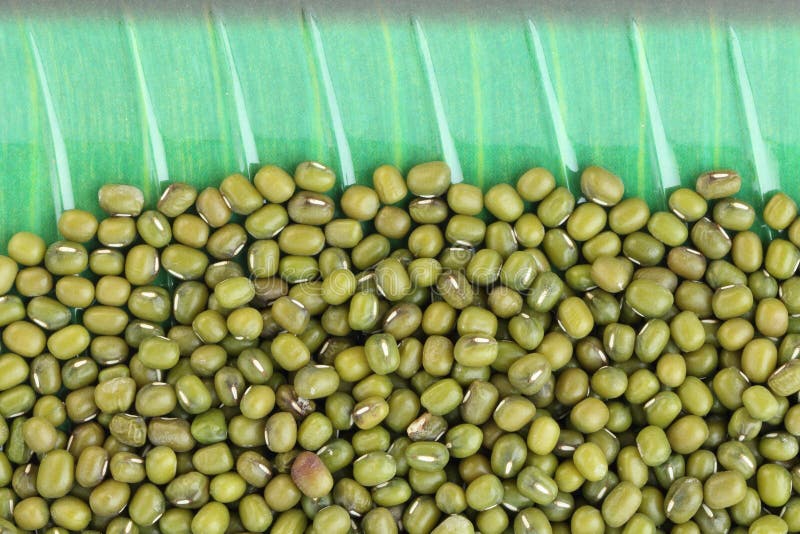 Sprout stock photo. Image of opening, seed, life, grow - 20085554