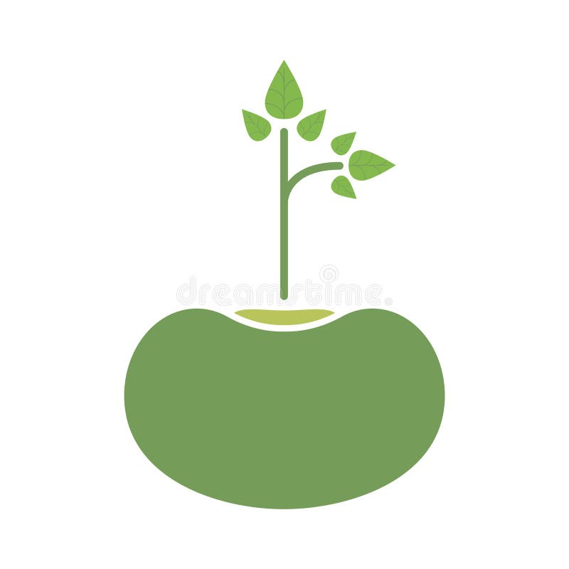 Mung Beans Logo Template Icon Stock Vector - Illustration of wallpaper ...