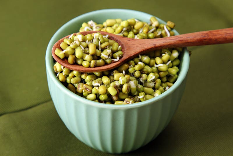 Mung beans stock photo. Image of health, sprouted, seedling - 70303134
