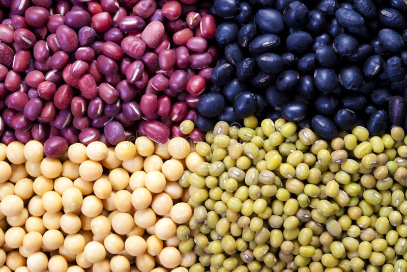 Mung boon en sojaboon stock foto. Image of korrel, lade - 18237716