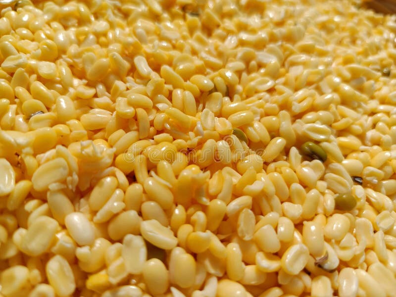 Mung Dal or Moong Dal or Yellow Daal Stock Image - Image of daal, moong ...