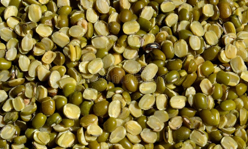Mung/Moong Pulse or Green Gram Split Stock Photo - Image of asia, lens ...