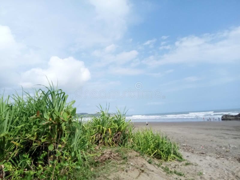Munggul Asepan Beach Stock Photos - Free & Royalty-Free Stock Photos ...