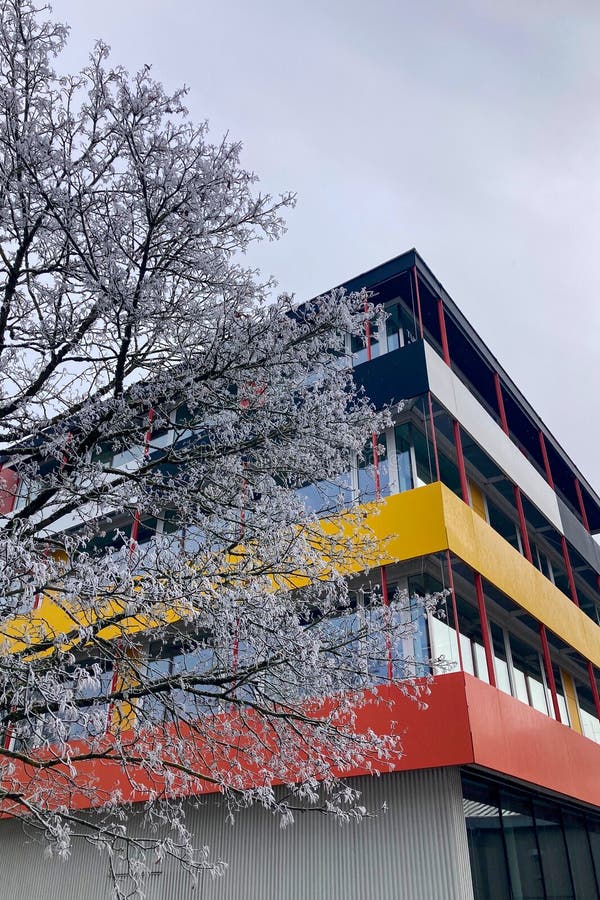 Frosty Morning in Campus of Munich Garching Technical University ...