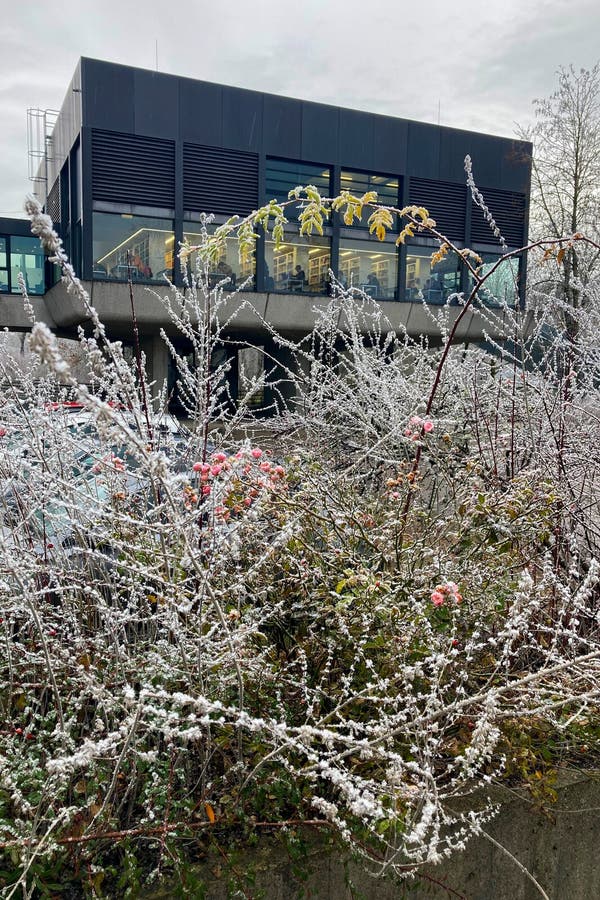 Frosty Morning in Campus of Munich Garching Technical University ...