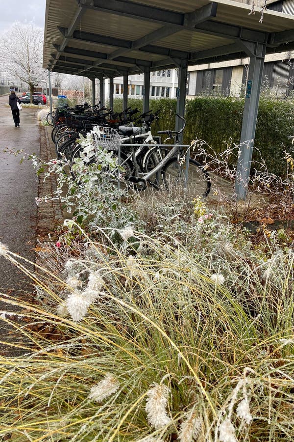 Frosty Morning in Campus of Munich Garching Technical University ...