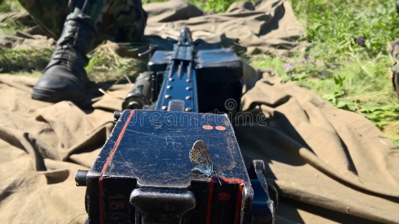 Munition weapon insecte stock photo. Image of vehicle - 178269358