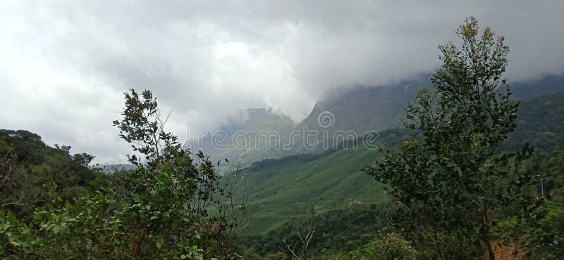 Munnar forest kerala stock photo. Image of nature, peaceful - 191207360