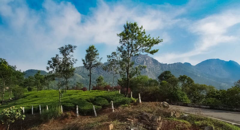 Munnar Landscape stock image. Image of freshness, indian - 95551425