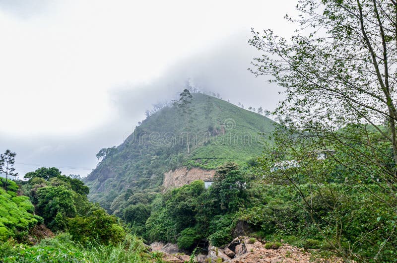 Munnar mountain peaks stock image. Image of high, scenic - 272556453