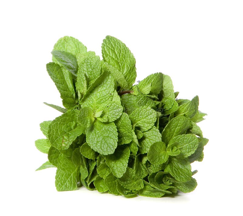 Munt stock afbeelding. Image of kruid, munt, beeld, horizontaal - 15906449
