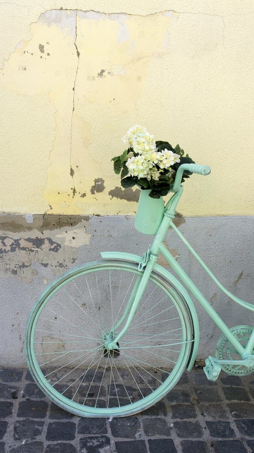 Munt Groene Fiets Met Witte Bloemen Stock Foto - Image of zomer ...
