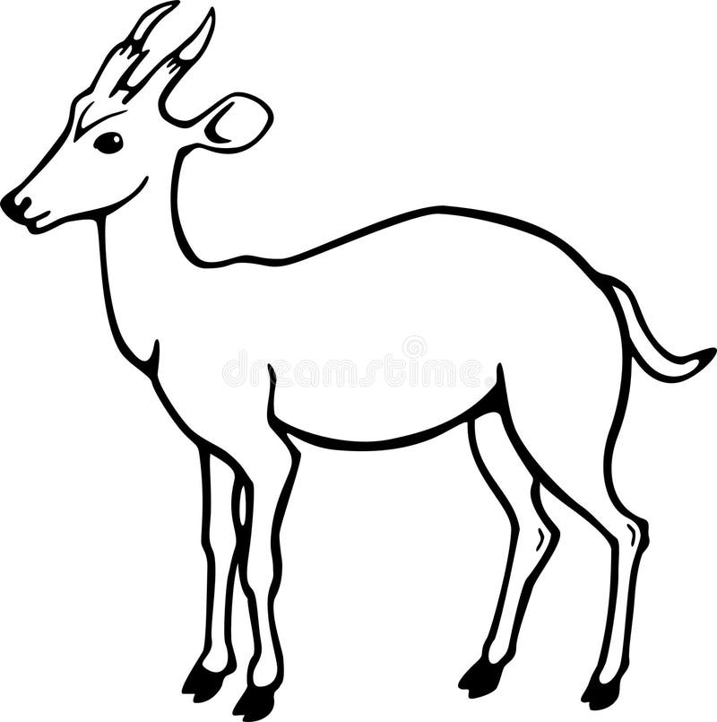 Muntjac stock vector. Illustration of vector, little - 66470444
