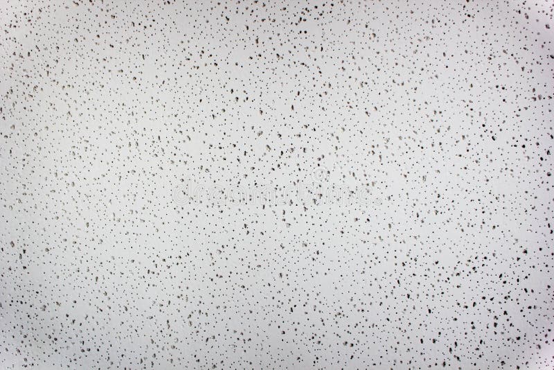 La Texture Du Plafond De Cellulose Photo stock - Image du texture ...