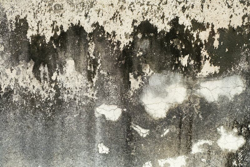 Mur blanc sale image stock. Image du gens, photographie - 107605181