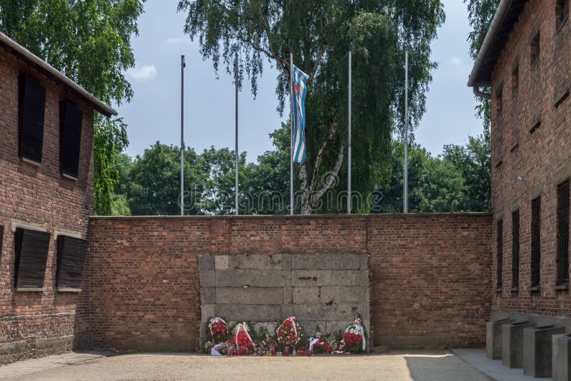 Mur de la mort d'Auschwitz photo stock éditorial. Image du auschwitz ...