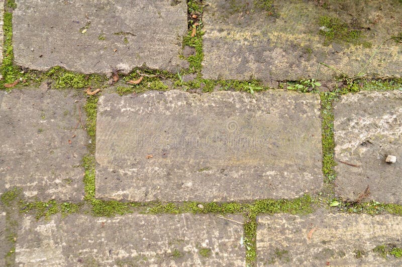 Mur En Pierre Avec La Verdure Texture Image stock - Image du brique ...