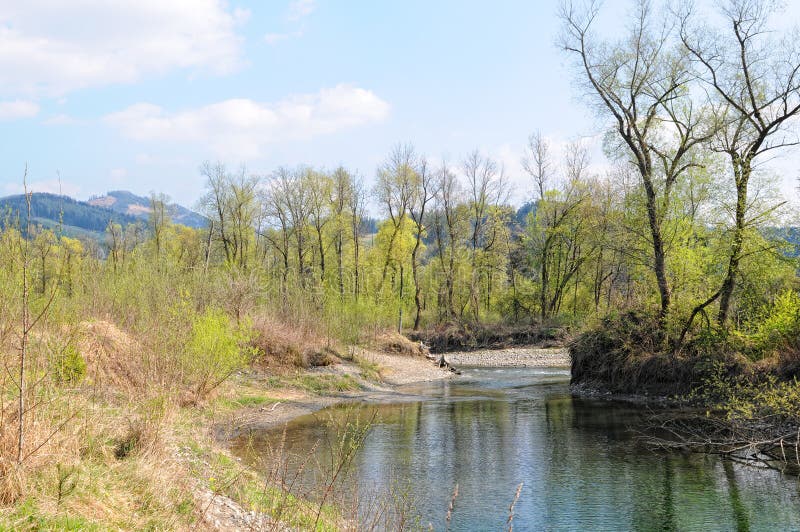 Mur River in Styria Austria. Springtime. European Alps. Stock Photo ...