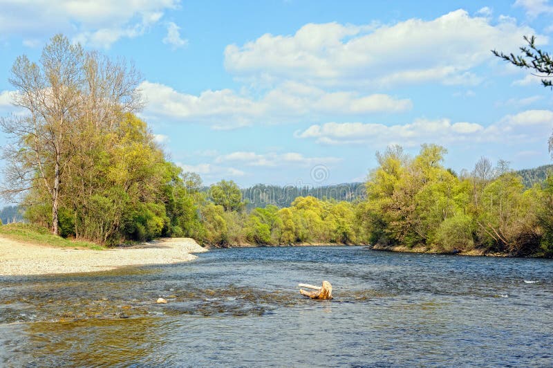 Mur River in Styria Austria. Springtime Stock Image - Image of mura ...