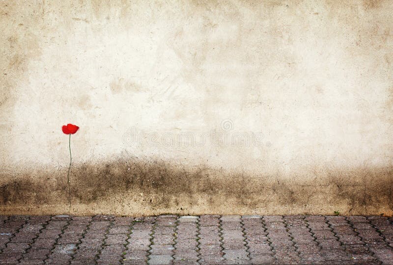 Mur sale de rue photo stock. Image du abstrait, fond - 29598336